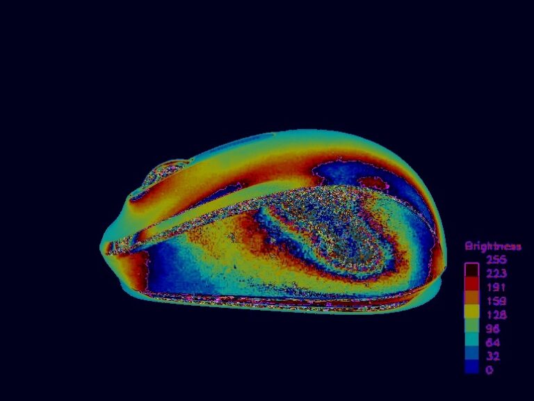 【python-openCV】HSV色空間を加工して画像の色味を変えてみる - ヒガサラblog