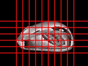 【python-openCV】画像にグリッド線（目盛り線）を入れる方法！ - ヒガサラblog