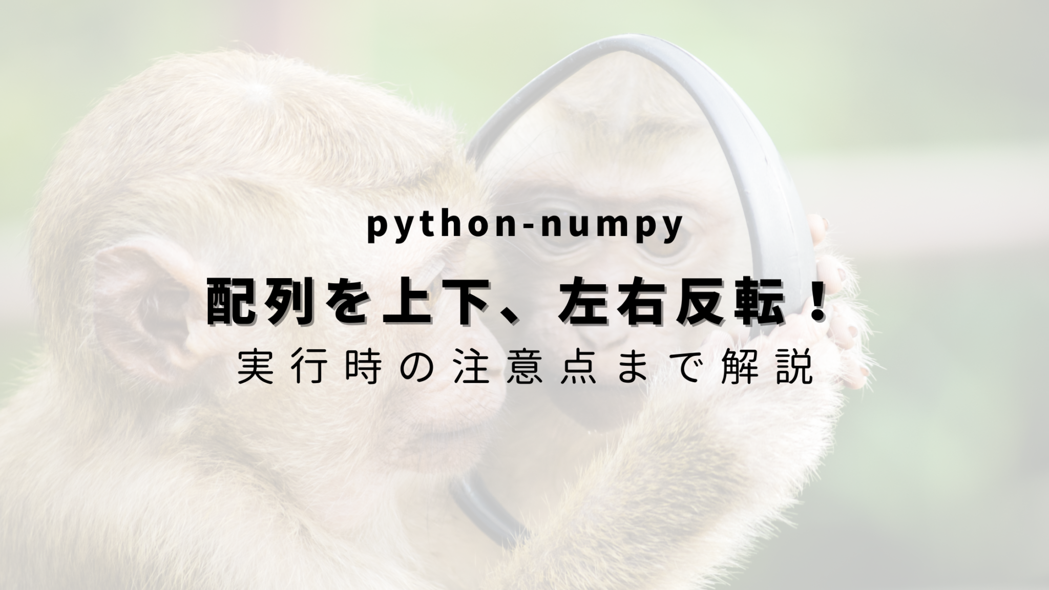 【python】ベクトルの内積、外積を計算する方法！3次元ベクトルで実演！ ヒガサラblog